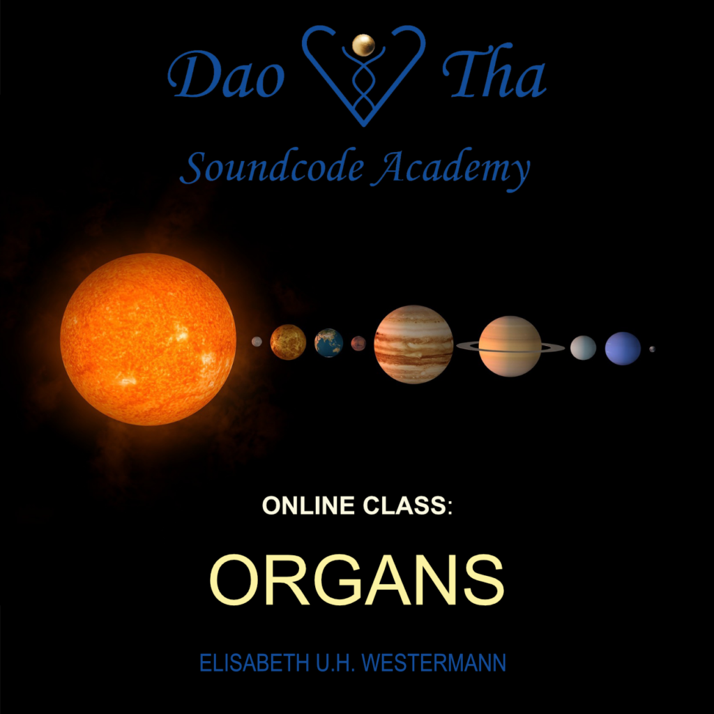Organs (Soundcode class) – Dao-Tha Soundcode Academy